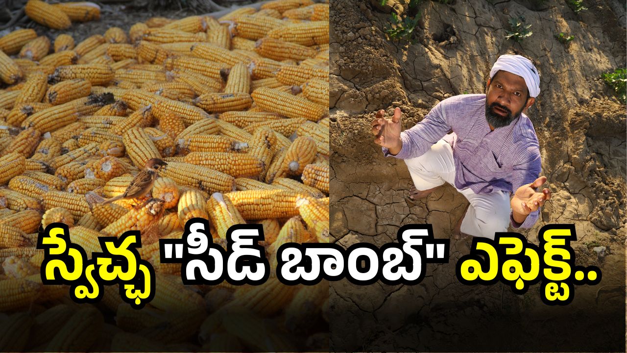 Swetcha Seed Bomb: ఆ రైతుల డిమాండ్ నెరవేరేనా? అక్కడికి పిలిచేనా?