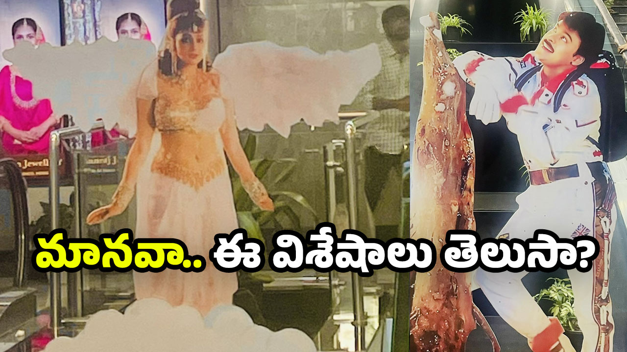 JVAS: రూ. 6-50 టికెట్ బ్లాక్‌లో రూ. 210.. ఇది చిరంజీవి స్టామినా!