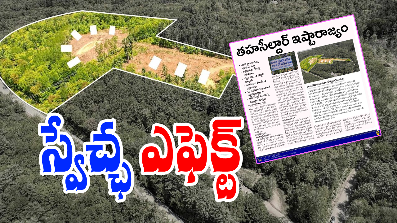 Dammapeta: భూకబ్జాదారులను వదిలేదే లేదు