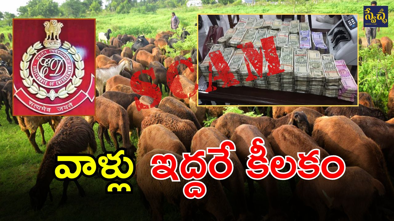 Sheep Distribution Scam: వెయ్యి కోట్లు బెట్టింగ్ యాప్‌ ఖాతాలకే!