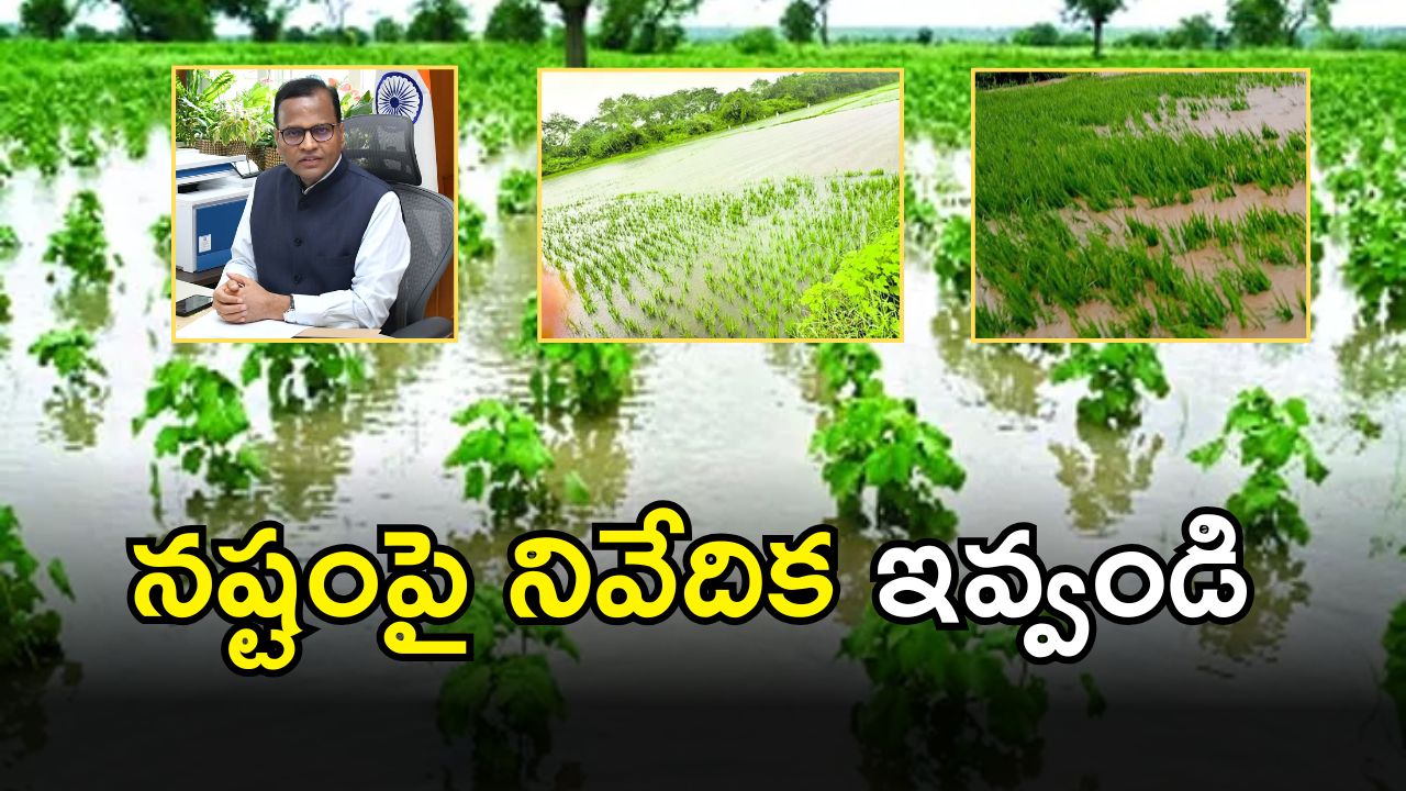 Ramakrishna Rao: రాష్ట్రంలో పంట నష్టాలపై సర్కార్ సీరియస్‌.. ఎక్స్ ...