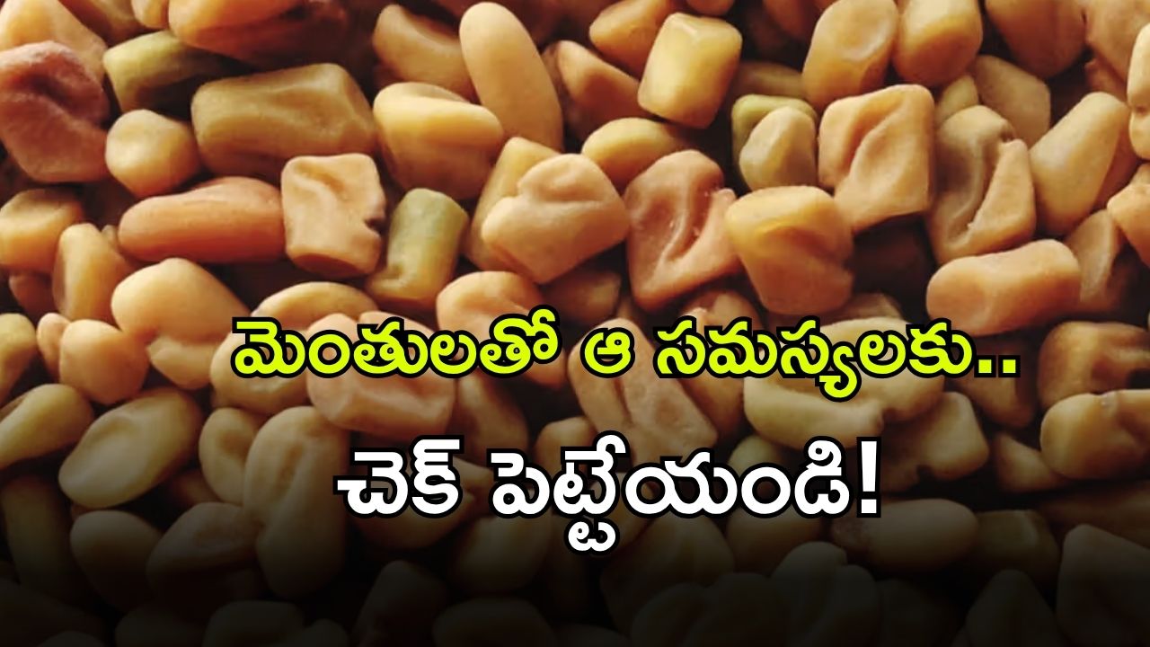 Fenugreek Benefits: మొలకెత్తిన మెంతుల్లో అంత పవర్ ఉందా?