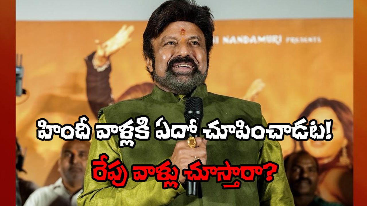 Balakrishna: మన దెబ్బేంటో హిందీవాళ్లకు చూపించాం.. ఏంటిది?