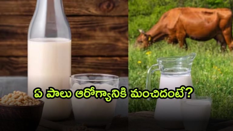 Soy Milk vs Cow Milk: వీటిలో ఏది ఆరోగ్యకరం?