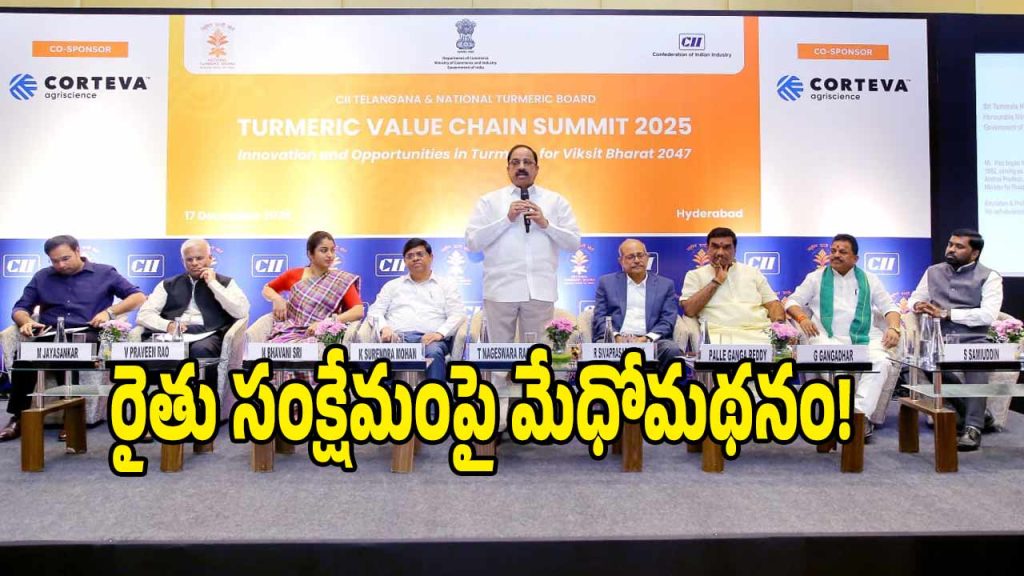 Thummala Nageswara Rao: పసుపుకు జీఐ ట్యాగ్ రావడం మన రైతు