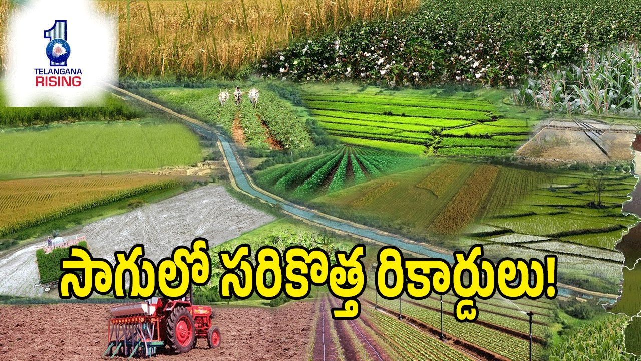 Telangana Agriculture: తెలంగాణలో అగ్రికల్చర్ రైజింగ్