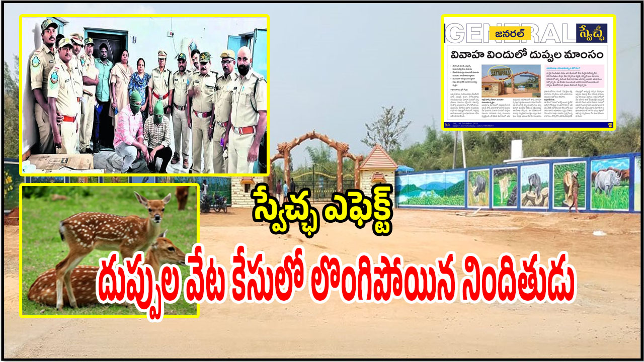 Swetcha Effect: దుప్పుల వేట కేసులో లొంగిపోయిన నిందితుడు
